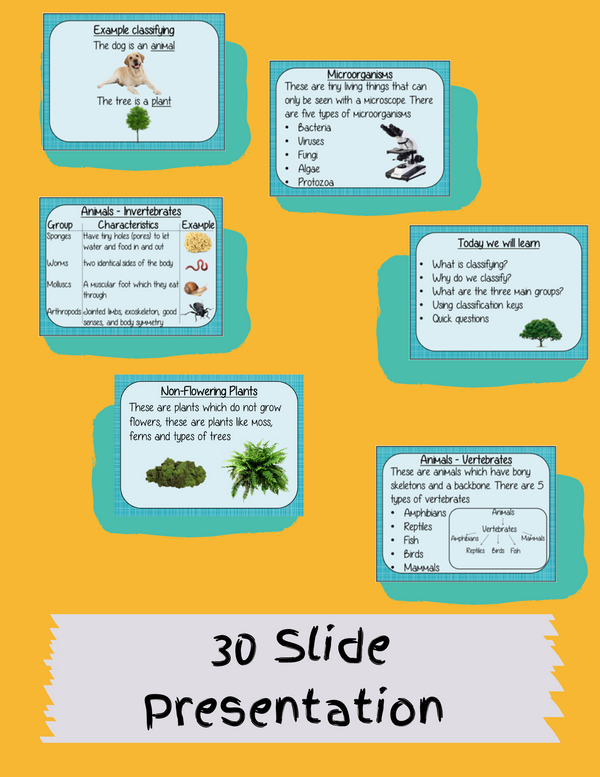Classifying Living Things DIGITAL Lesson in Google Slides™ – The Ginger ...