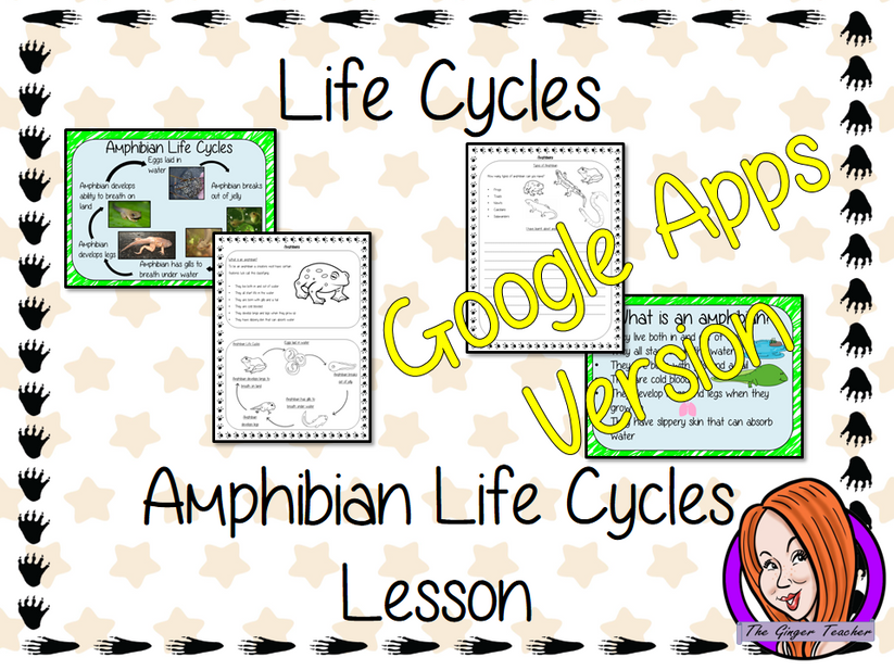 Distance Learning Amphibian Life Cycles Google Slides Lesson – The ...