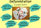 Rainforest Deforestation Escape Room Game – The Ginger Teacher