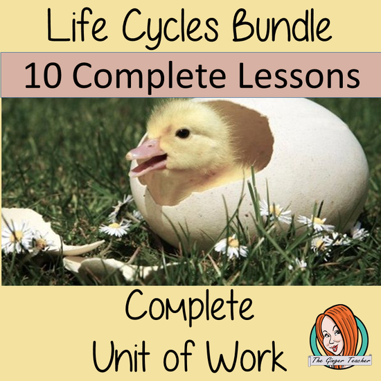 Animal Life Cycles Lesson Bundle – The Ginger Teacher