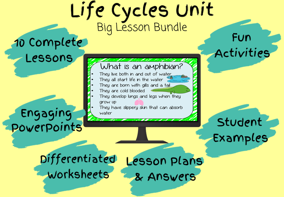 Animal Life Cycles Lesson Bundle – The Ginger Teacher