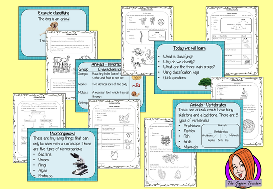 Classifying Living Things Lesson – The Ginger Teacher