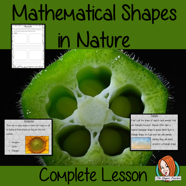 Mathematical Shapes in Nature – The Ginger Teacher