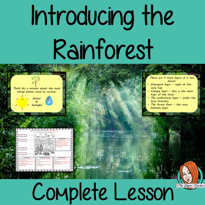 Introducing the Rainforest Complete Lesson – The Ginger Teacher