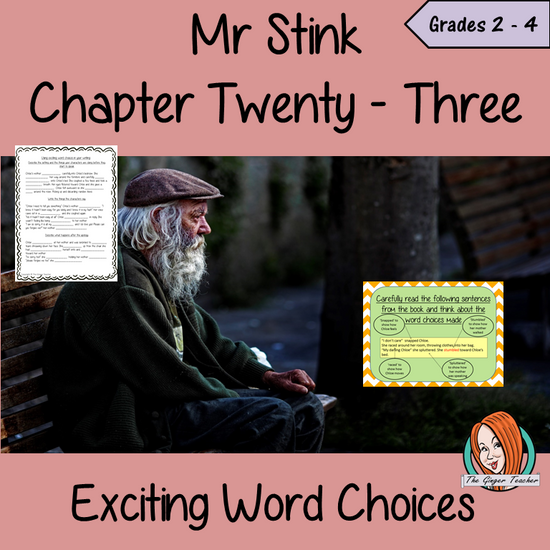 Making Exciting Word Choices; Complete Lesson – Mr Stink – The Ginger ...