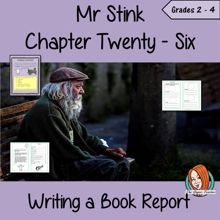 Mr Stink Book Report Lesson – The Ginger Teacher