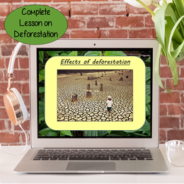Rainforest Deforestation Lesson – The Ginger Teacher