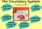 Blood and the Circulatory System Escape Room Game – The Ginger Teacher