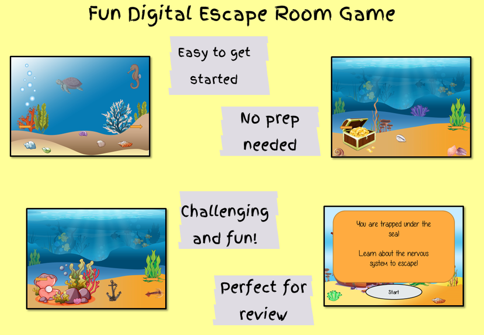 The Nervous System Lesson and Escape Room Bundle – The Ginger Teacher