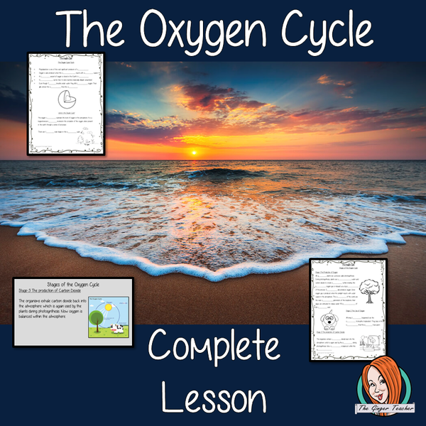 The Oxygen Cycle Science Lesson – The Ginger Teacher