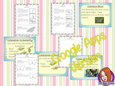 Distance Learning Butterflies Complete Google Slides Lesson – The ...