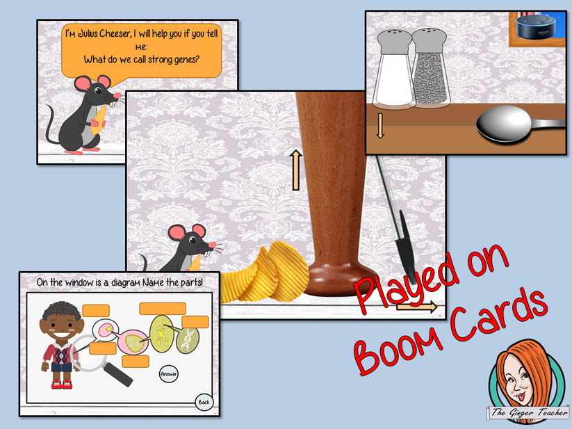 Genetics Science Escape Room – The Ginger Teacher