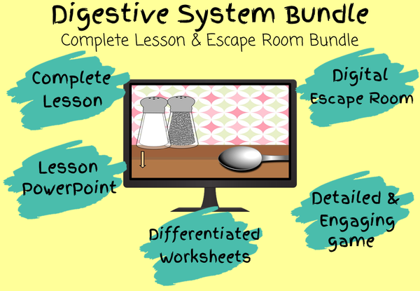 The Digestive System Lesson and Escape Room Bundle – The Ginger Teacher