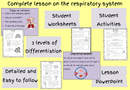 The Respiratory System Lesson and Escape Room Bundle – The Ginger Teacher