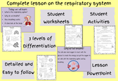 The Respiratory System Lesson and Escape Room Bundle – The Ginger Teacher