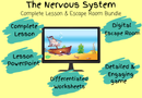 The Nervous System Lesson and Escape Room Bundle – The Ginger Teacher