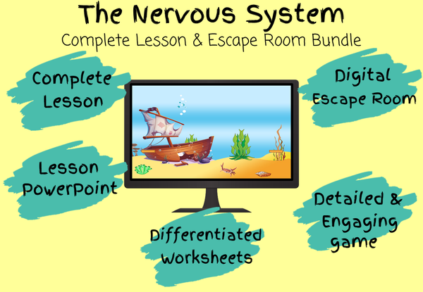 The Nervous System Lesson and Escape Room Bundle – The Ginger Teacher